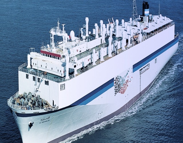 Livestock Carriers | Complex Engineering Solutions